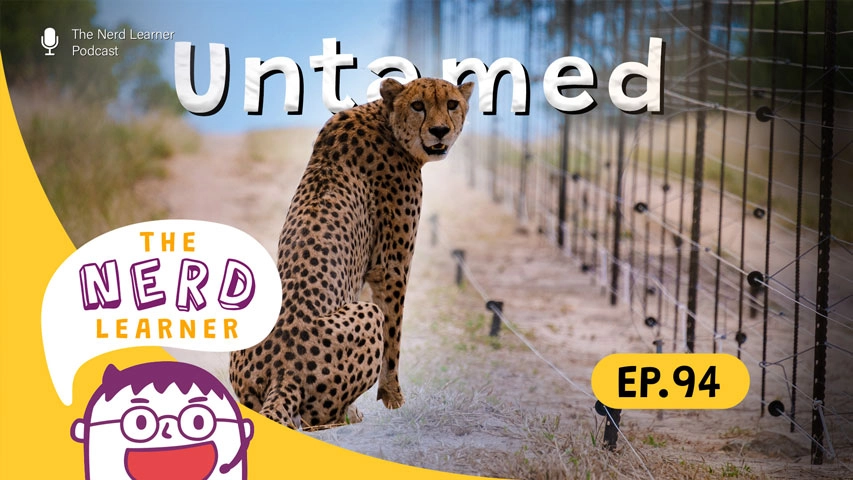 Untamed | The Nerd Learner EP.94 | The Nerd Learner